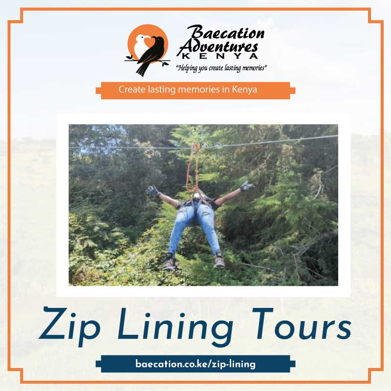 Baecation: Best Zip Lining Tours in Kenya| +254 725 300 400