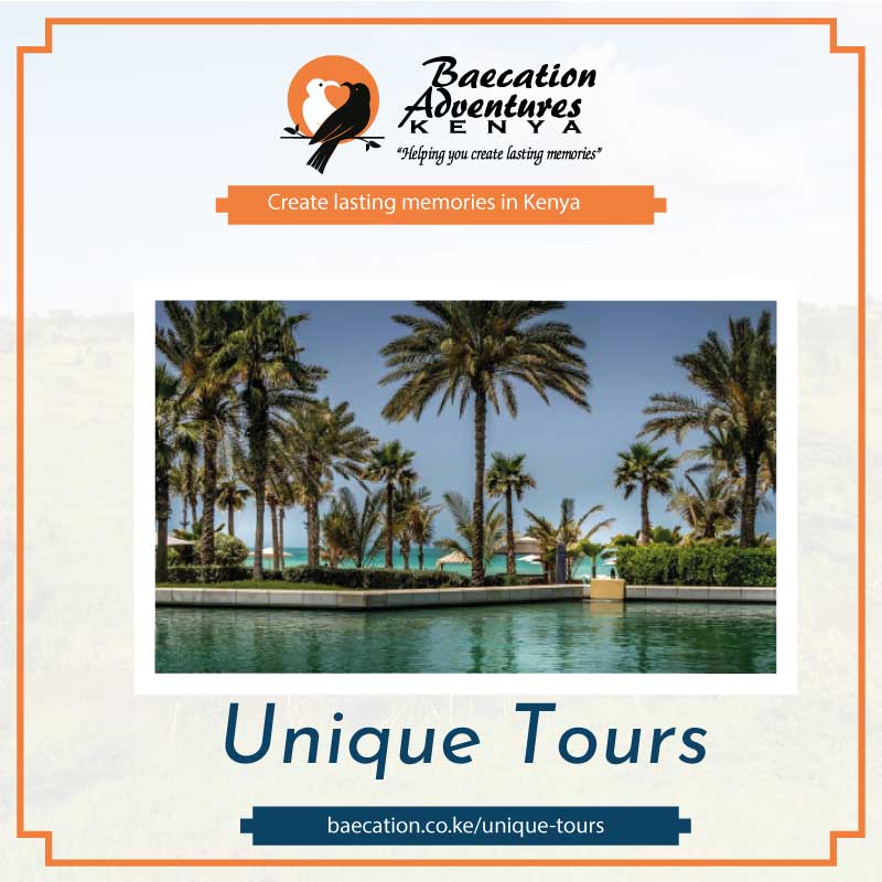 Baecation: The Best Unique Tours in Kenya | +254 725 300400