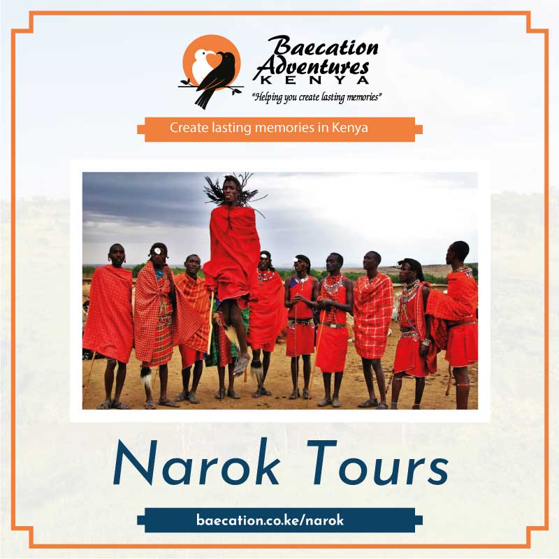 Best Narok Safaris For Lasting Memories | Baecation