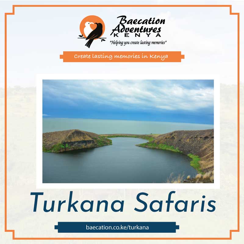 Turkana County Safaris: Epic Adventures by Lake Turkana